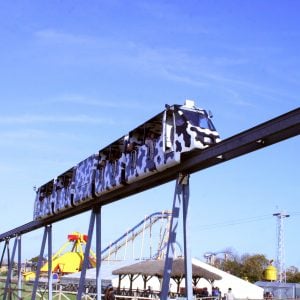 Say Hello to Talula The Tarantula - Flamingo Land Resort