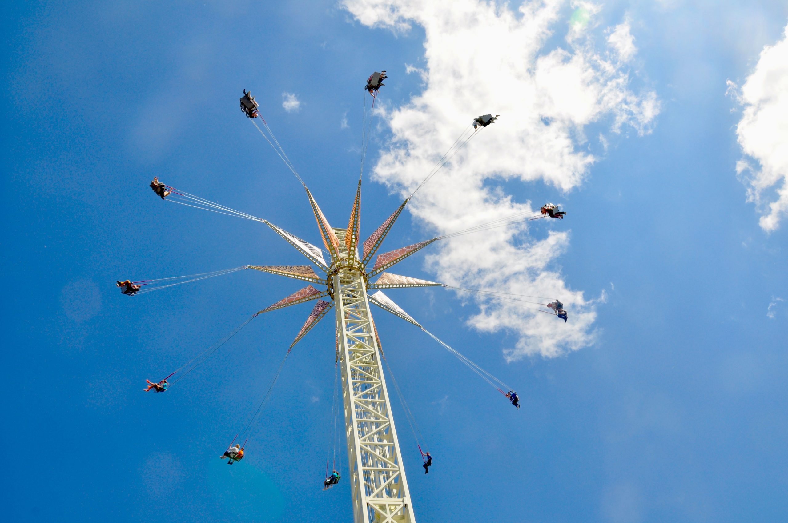 Pterodactyl - Flamingo Land Resort