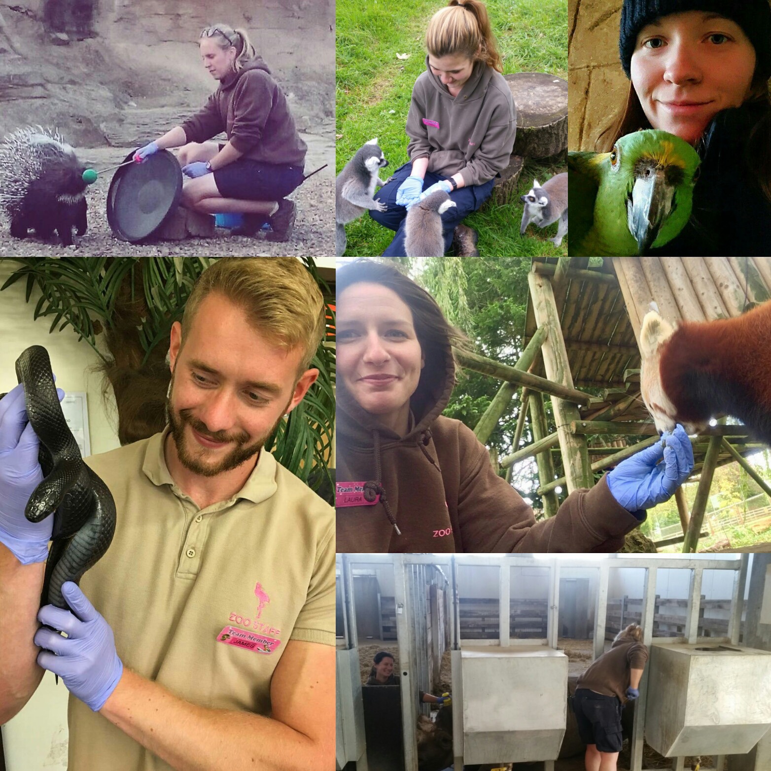 International Zoo Keeper Day - Flamingo Land Resort