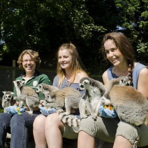 Say Hello to Talula The Tarantula - Flamingo Land Resort