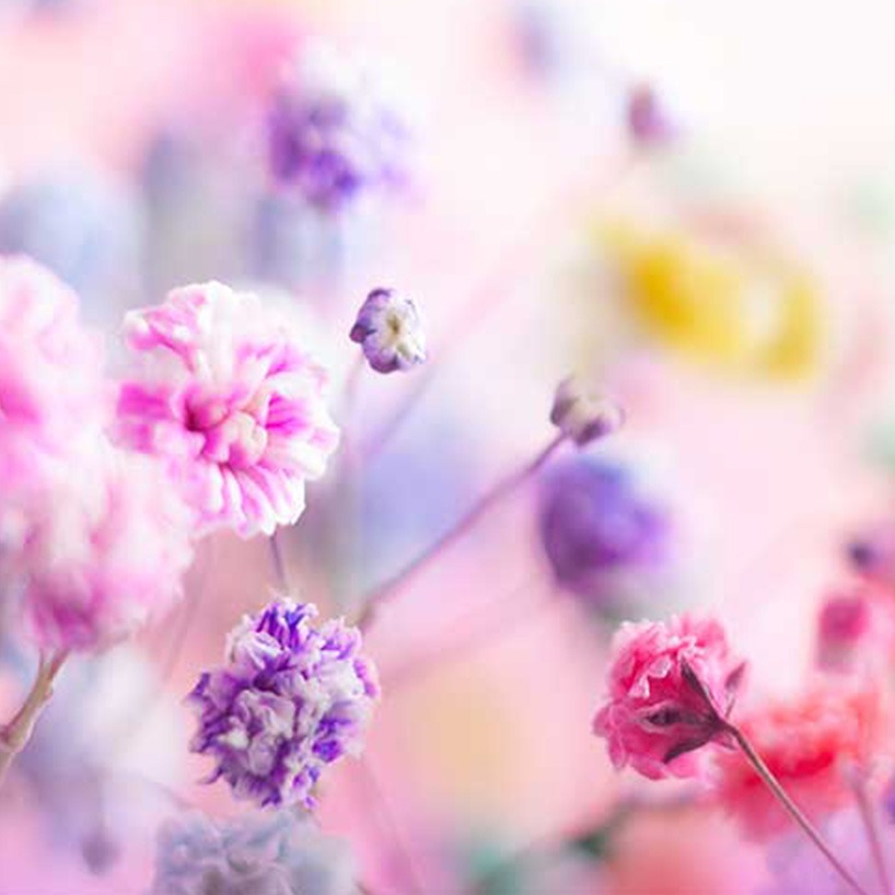 Food & Drink - Flamingo Land Resort