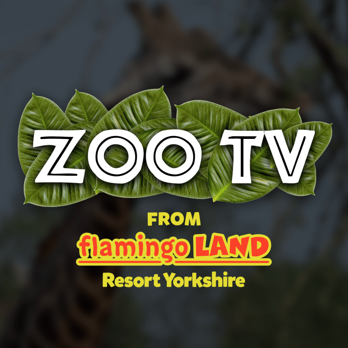Halloween at Flamingo Land 2025 - Flamingo Land Resort