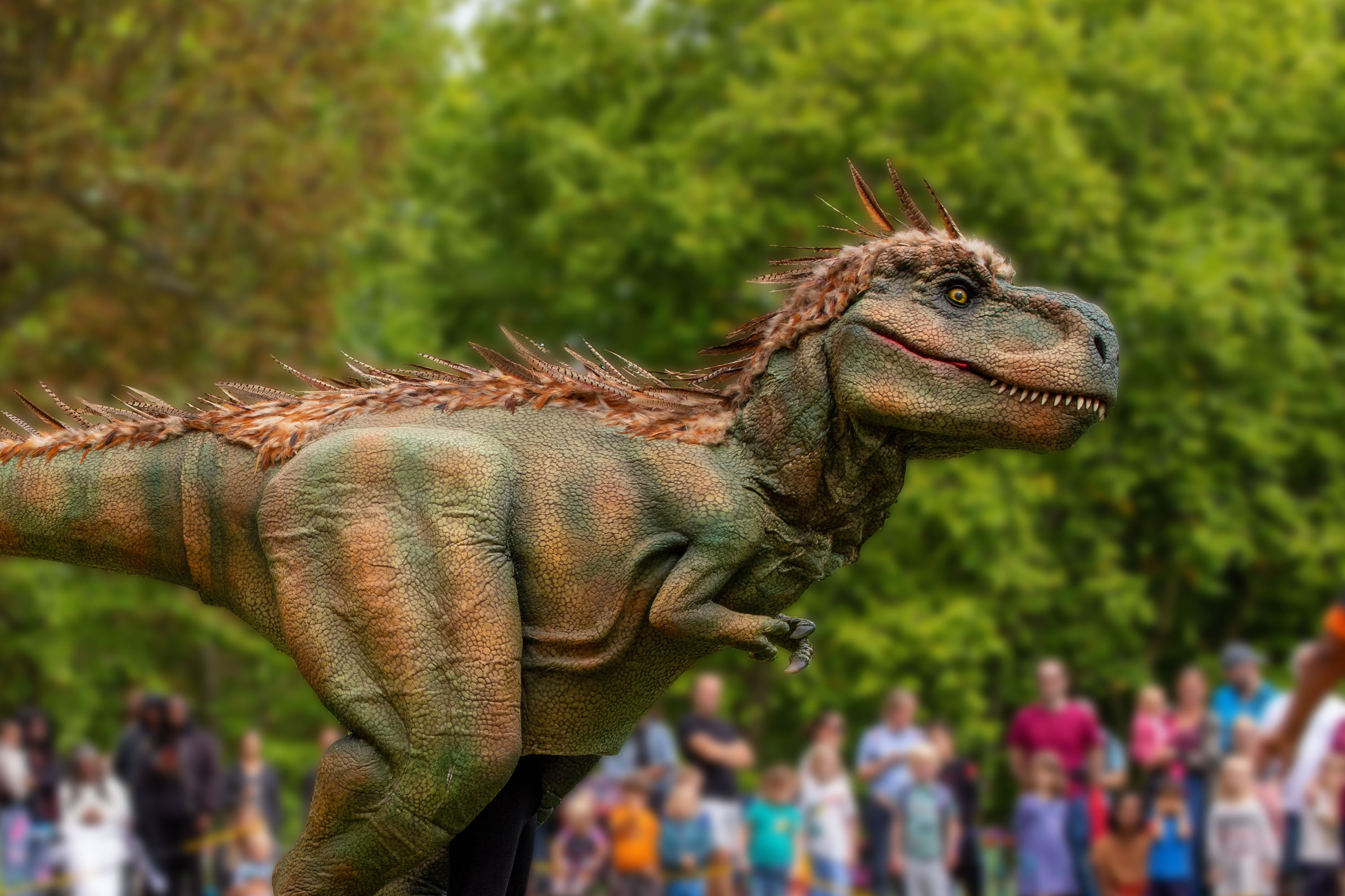 Home - Flamingo Land Resort