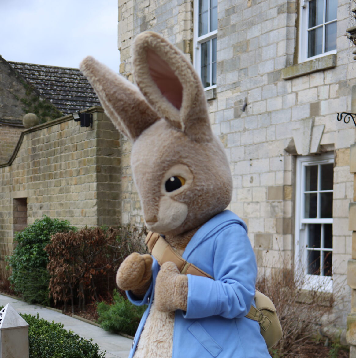 Peter Rabbit Meet & Greet - Flamingo Land Resort